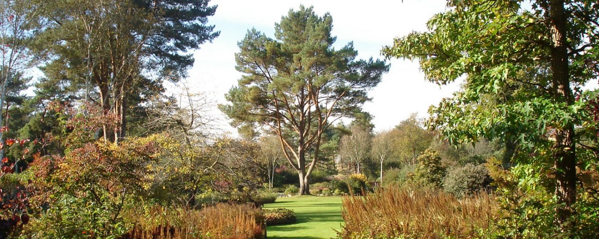 PUBLICATIONS – APJA